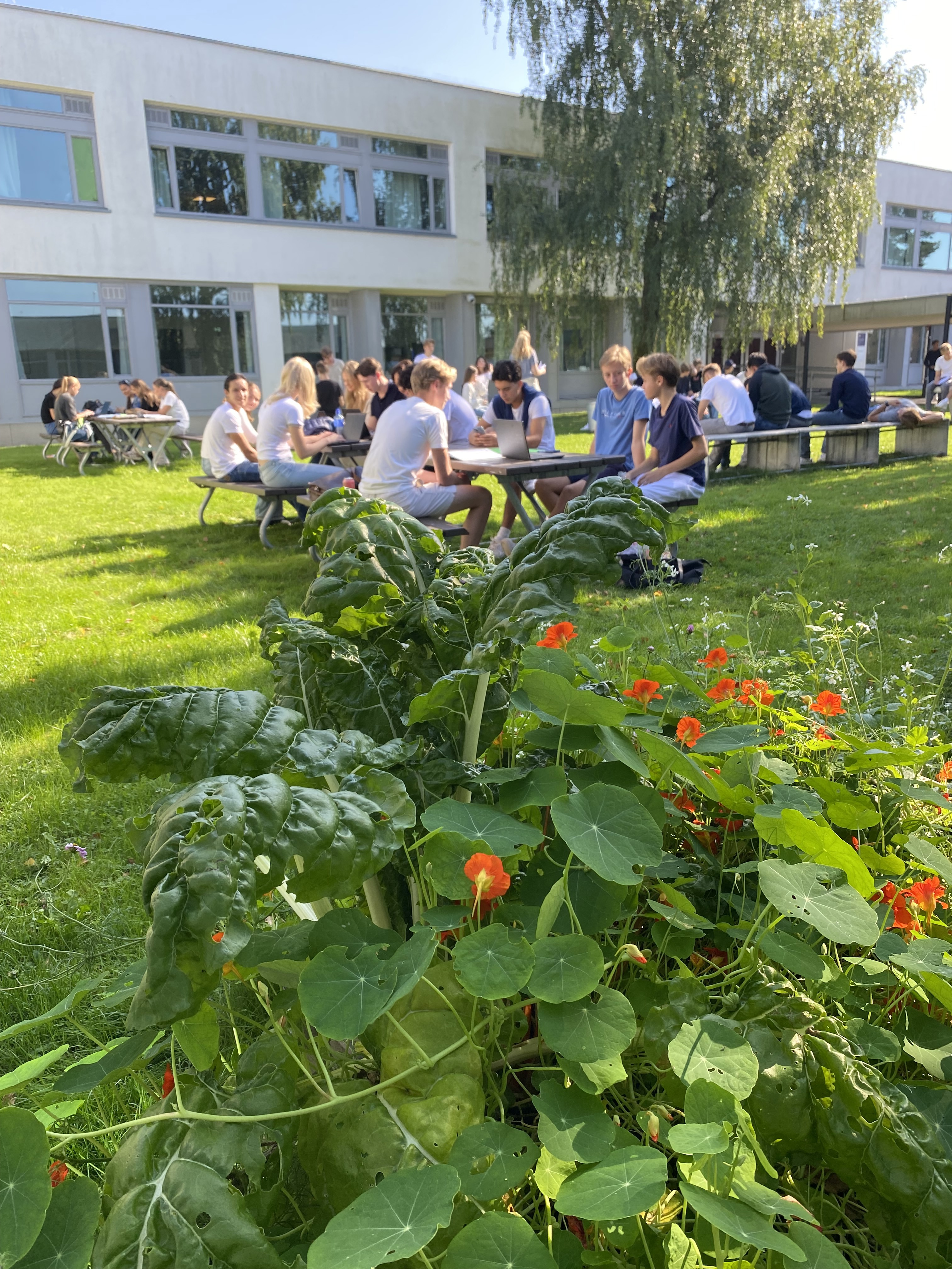 Lambertseter videregående skole